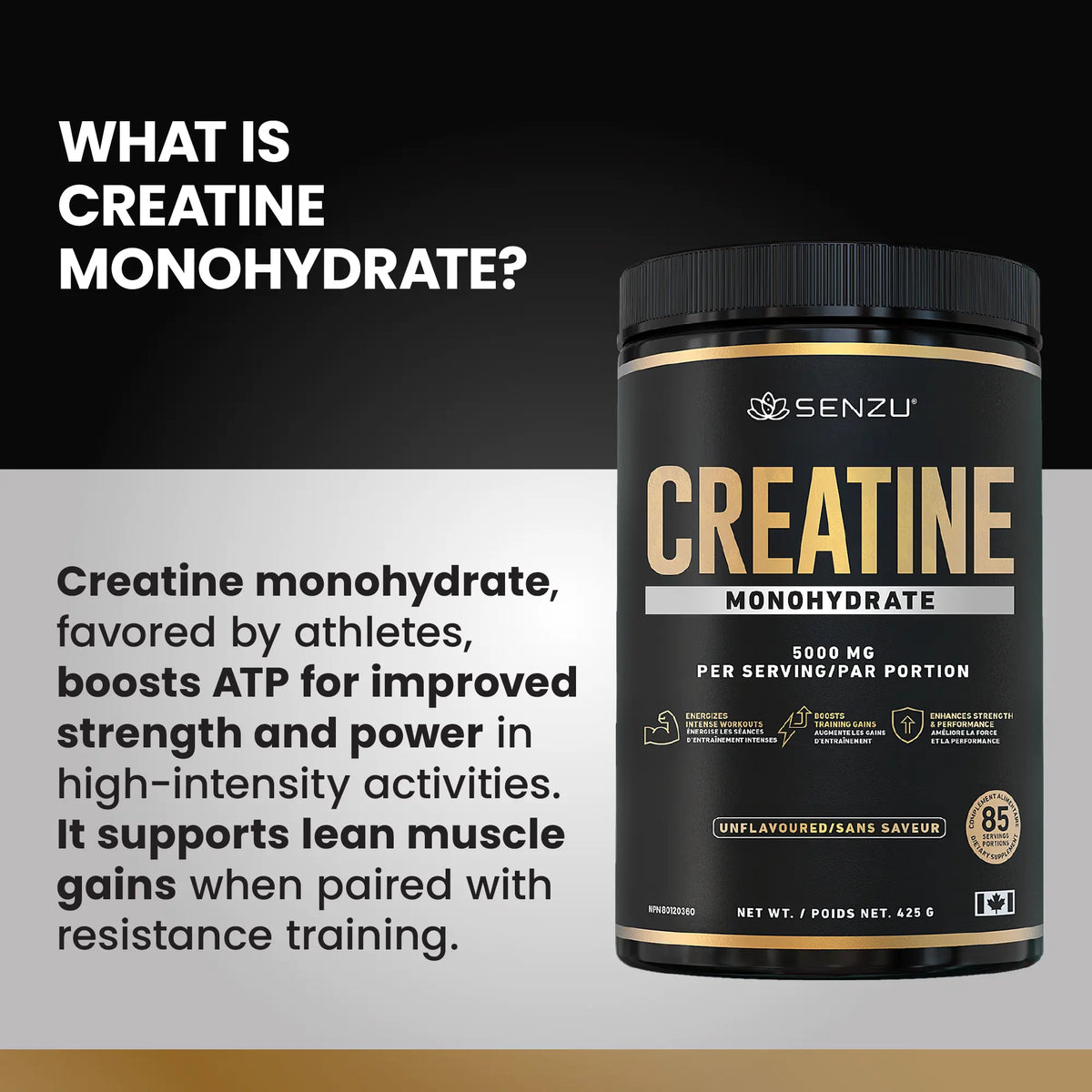 Micronized Creatine Powder – Senzu Health